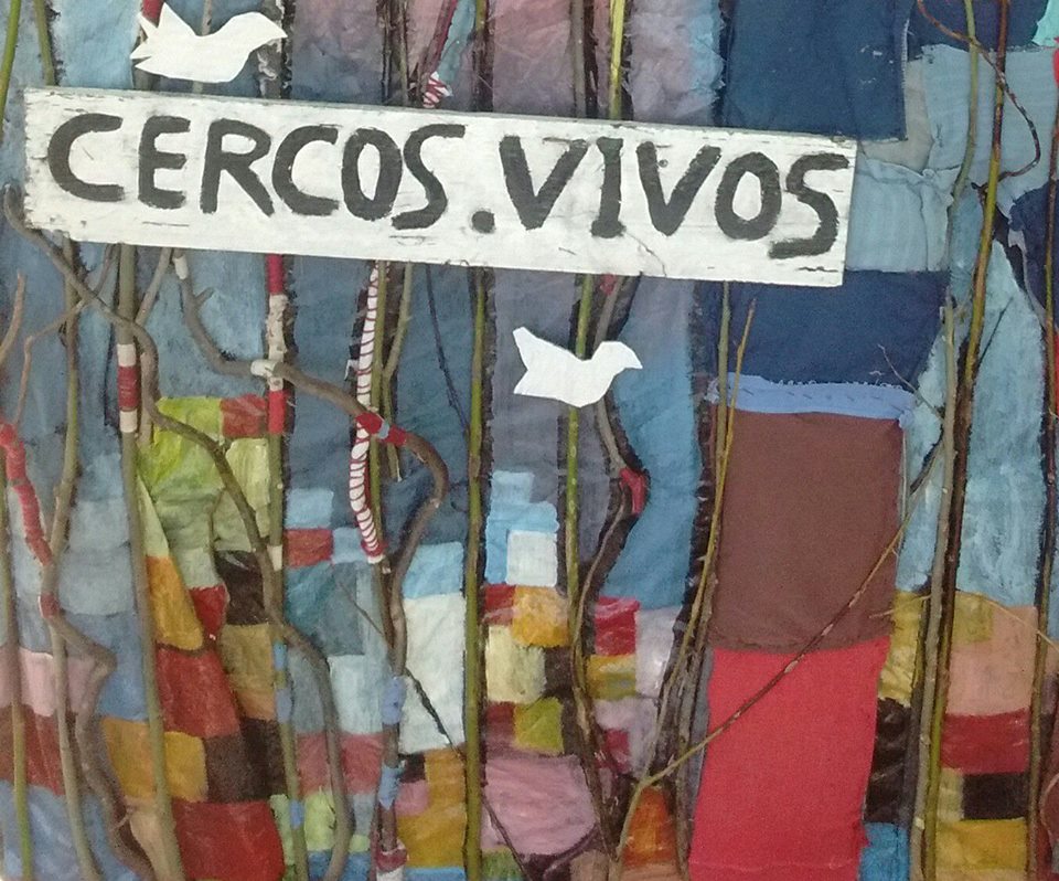 La mala educación de Daniel Boggio – Noticias – UNSL