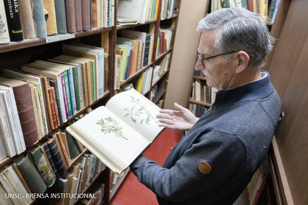 Avanzan en describir la flora completa de San Luis – Noticias – UNSL